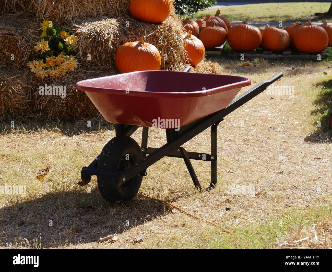 Red wheelbarrow with haybales and pumpkins in the background Stock ...