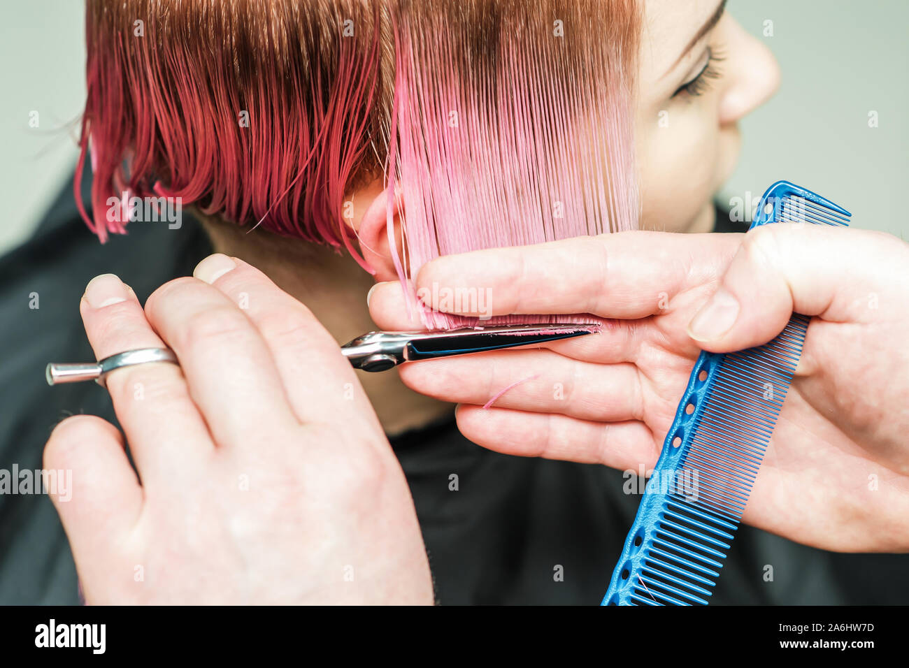 Close up of a masculine hand is cutting pink hair with scissors. Narrow ...