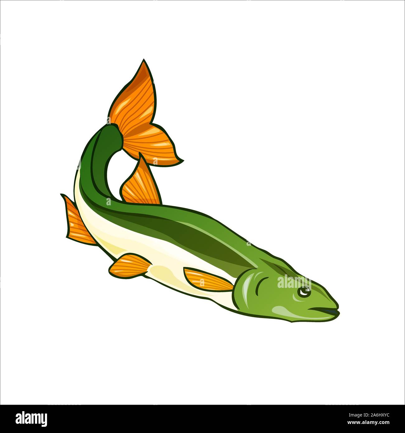 Salmon vector hi-res stock photography and images - Alamy