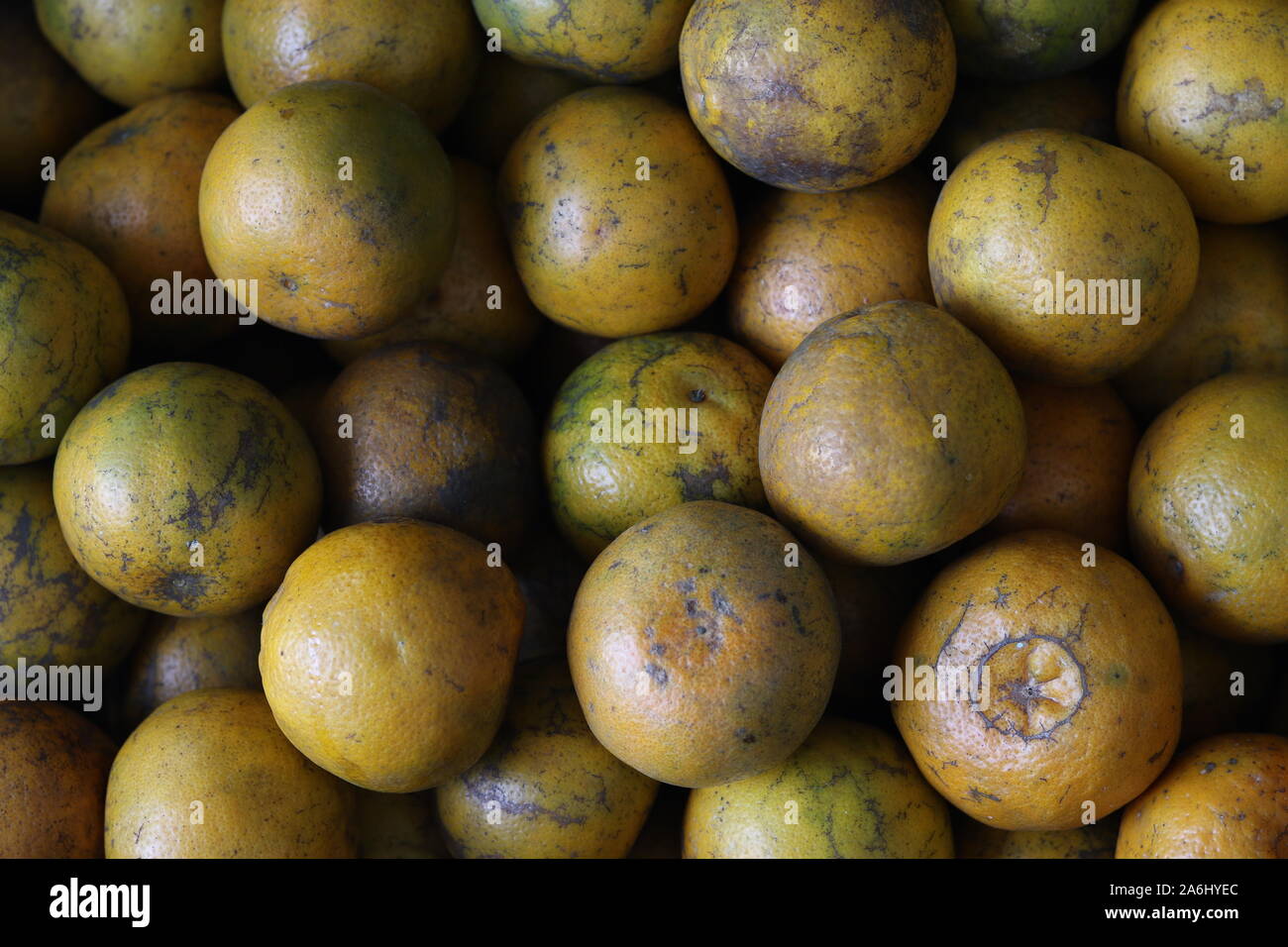 Many oranges hi-res stock photography and images - Alamy