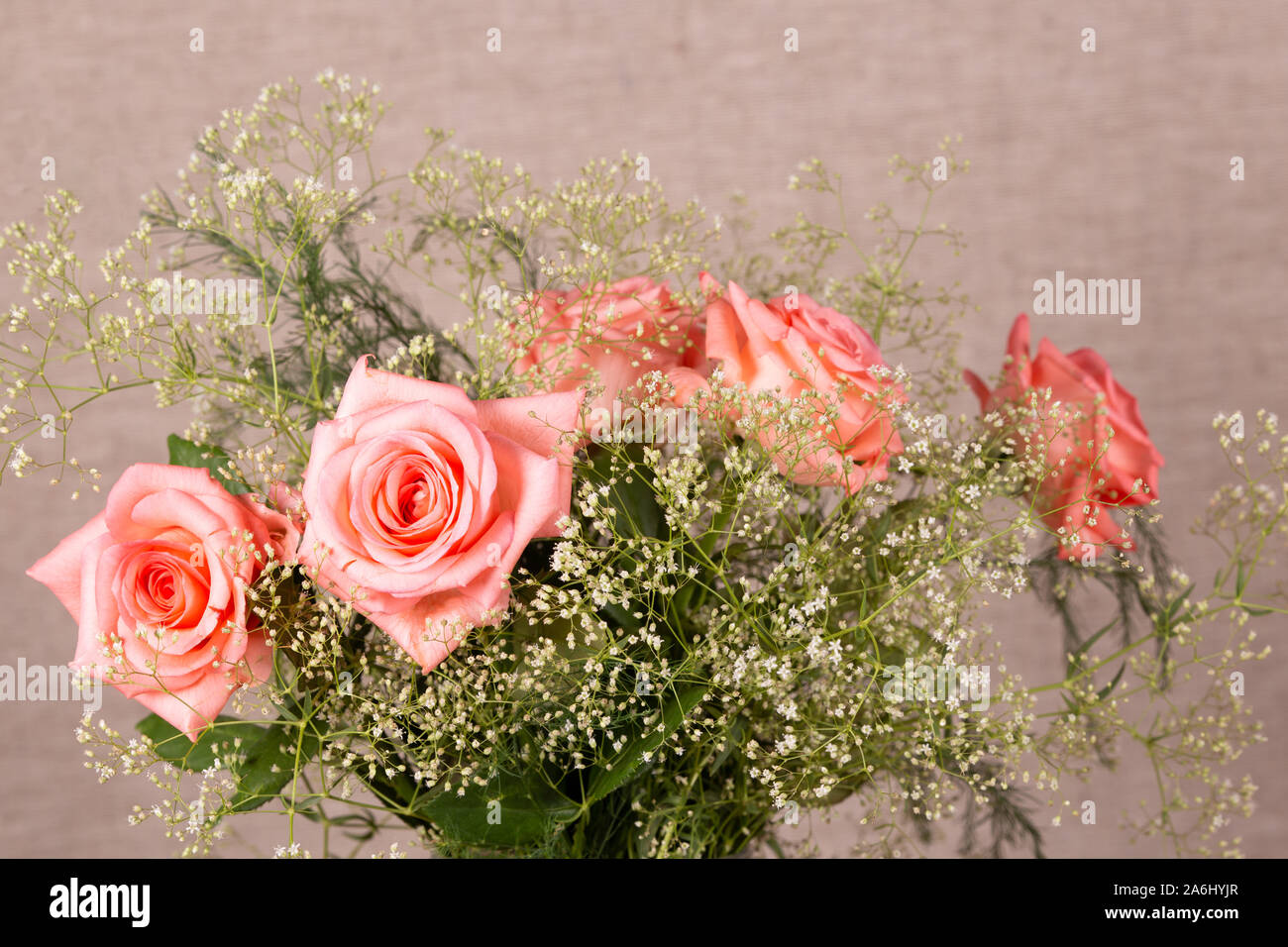Background with a bouquet of fresh beautiful roses for congratulations ...