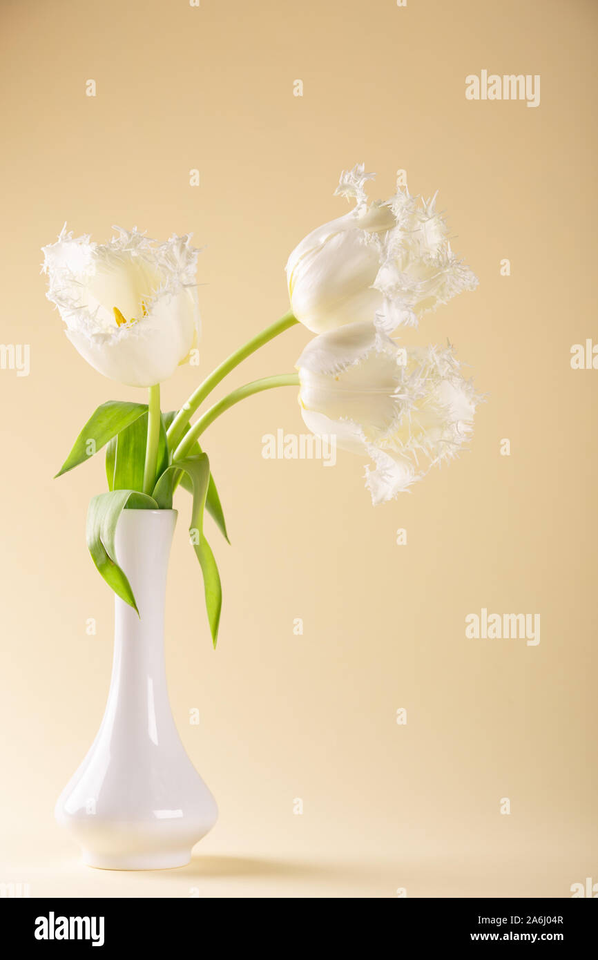 Three beautiful white tulips in an vase Stock Photo - Alamy
