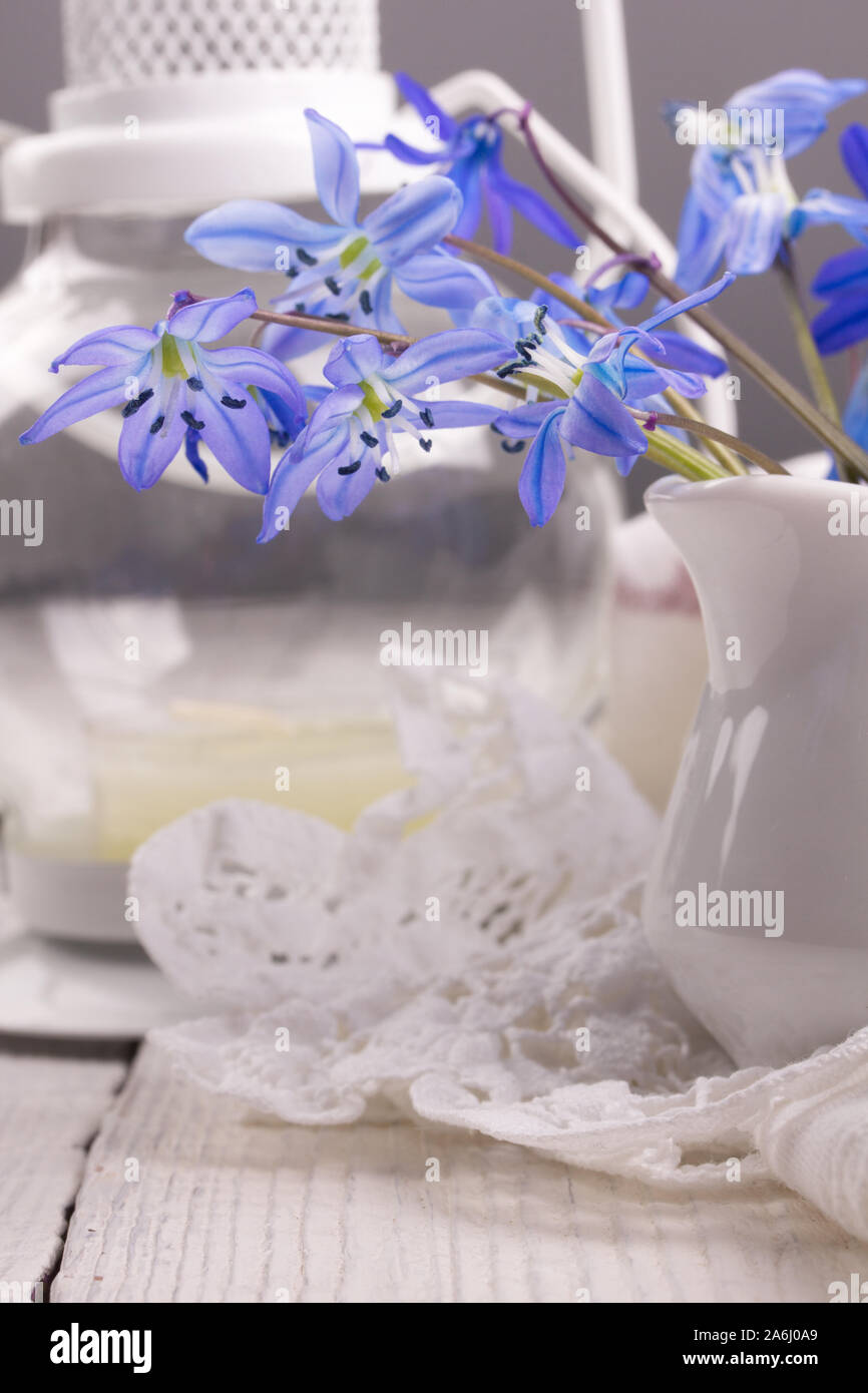 Blue snowdrops in wood hi-res stock photography and images - Alamy