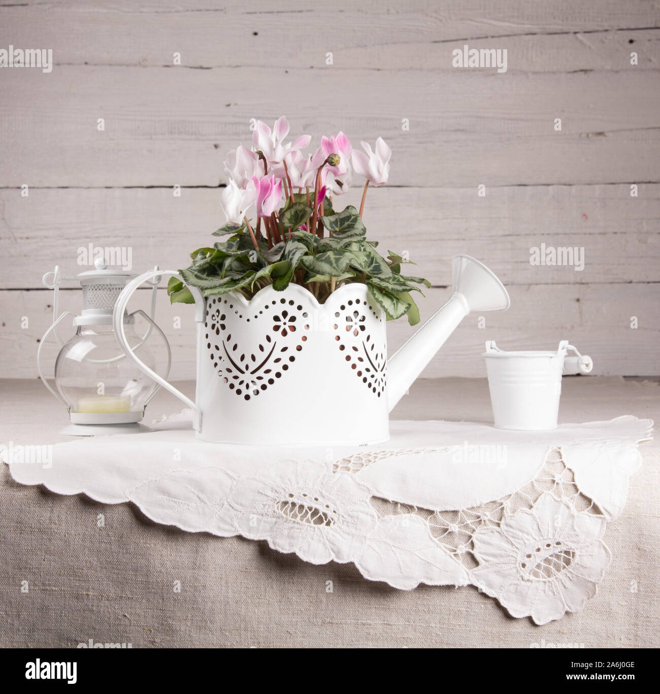 Still life with spring flowers on a white background Stock Photo - Alamy