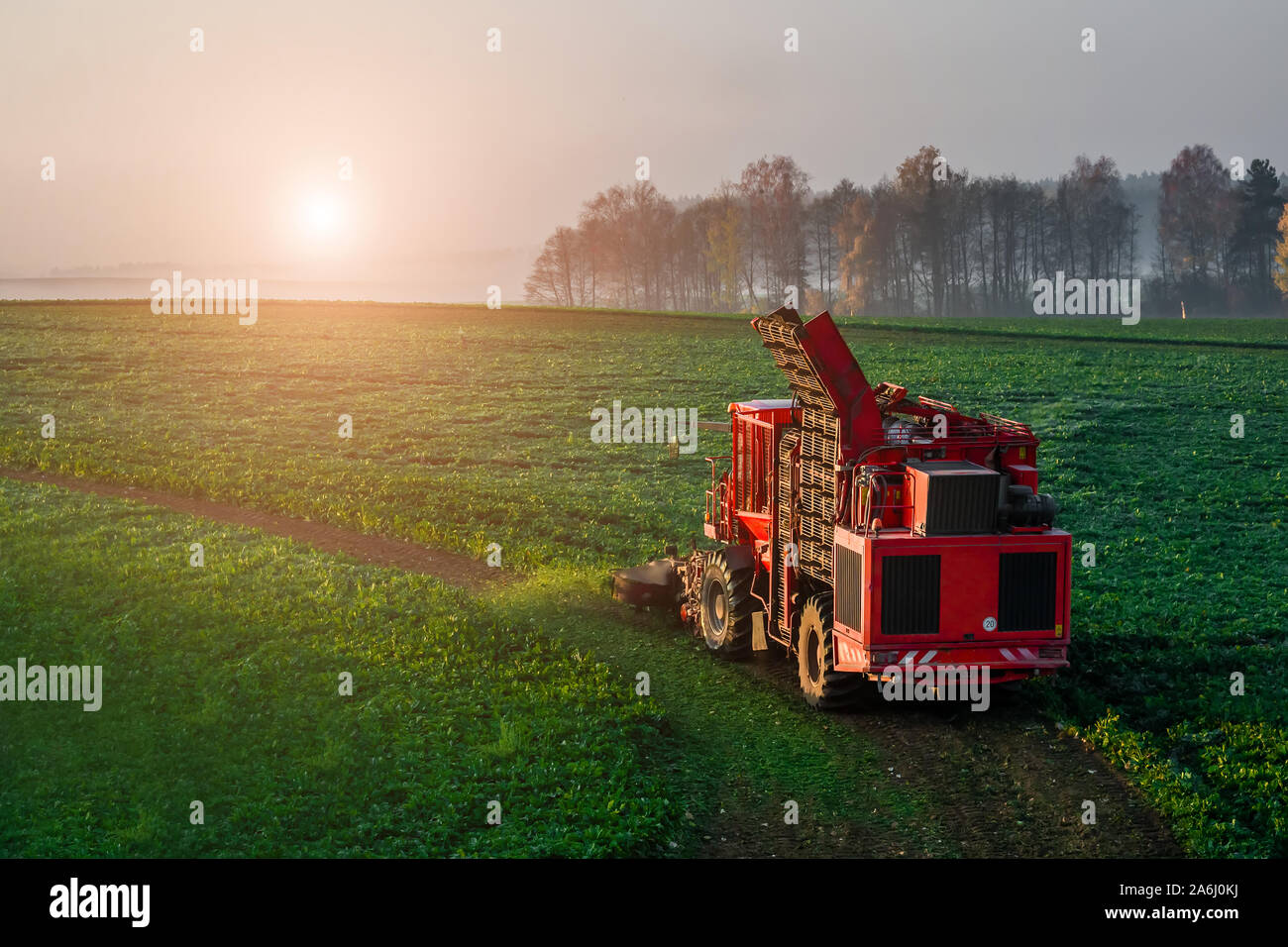 Beet harvesting machine hi-res stock photography and images - Alamy
