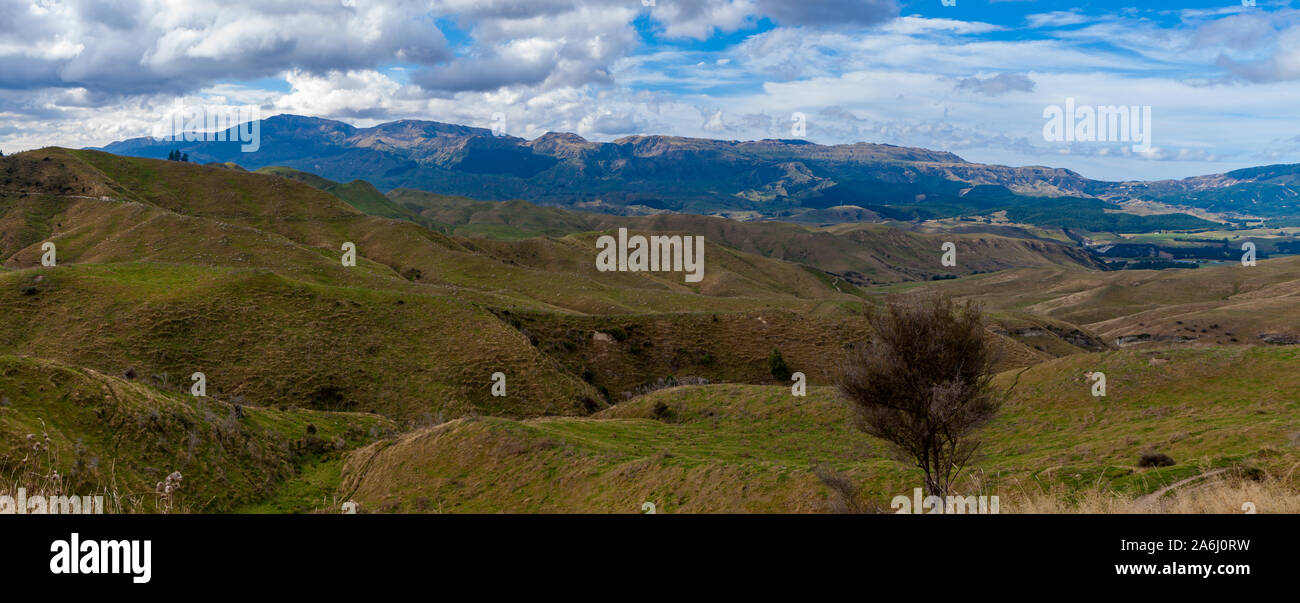 Rolling hills between Rotorua and Lake Tapoa Stock Photo - Alamy