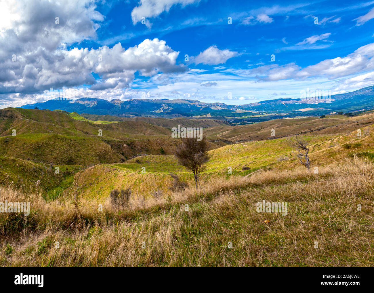 Rolling hills between Rotorua and Lake Tapoa Stock Photo - Alamy