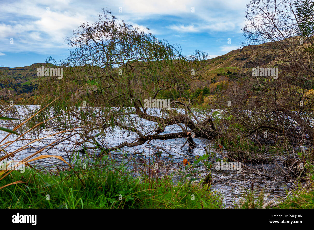 See tutira hi-res stock photography and images - Alamy