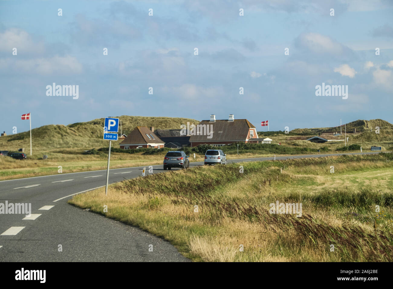 Houses between the grass covered dunes with Danish flags on the ...