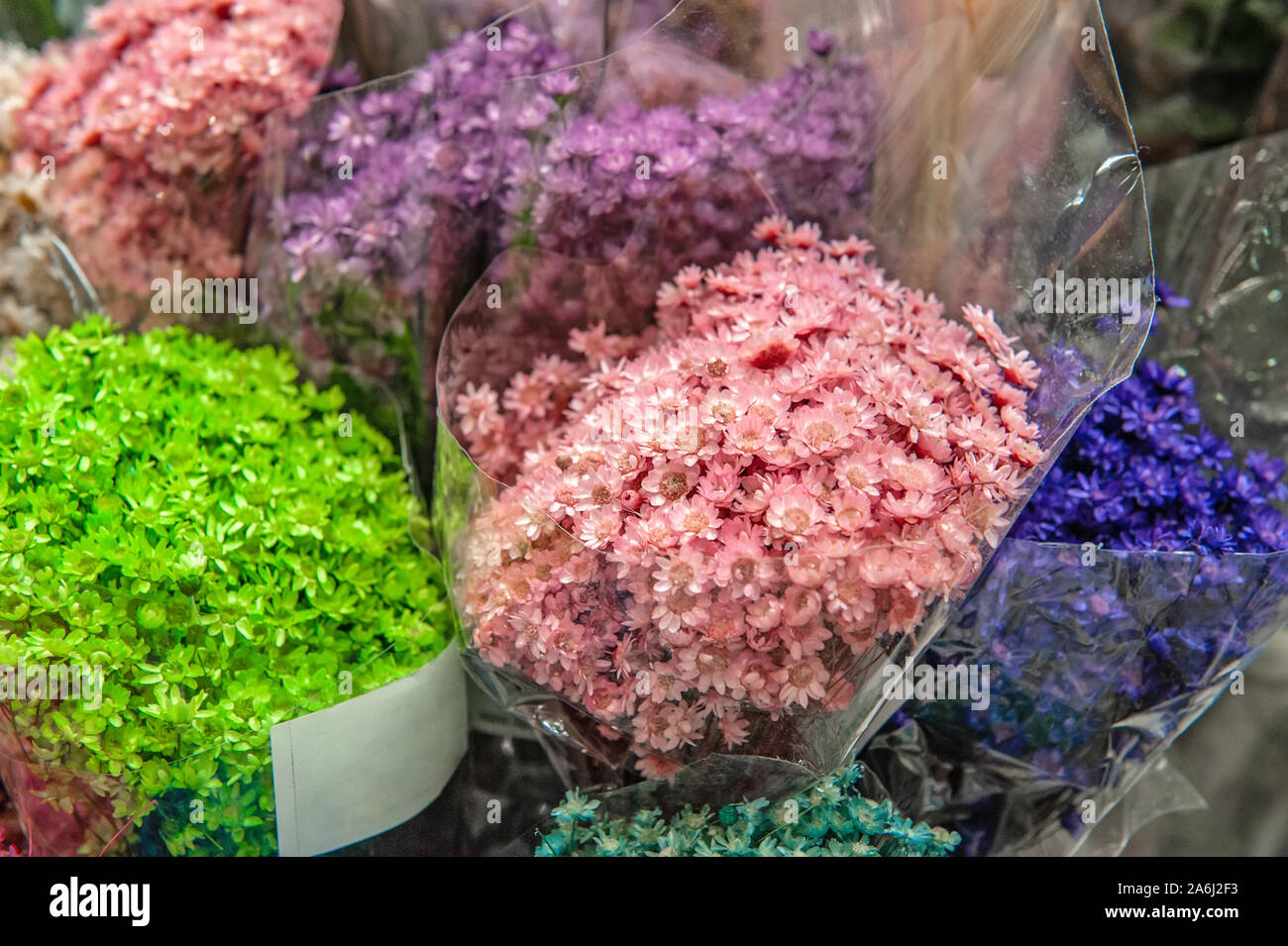 Colorful close-up of dried flowers, fragrant herb leaves and seed pods ...