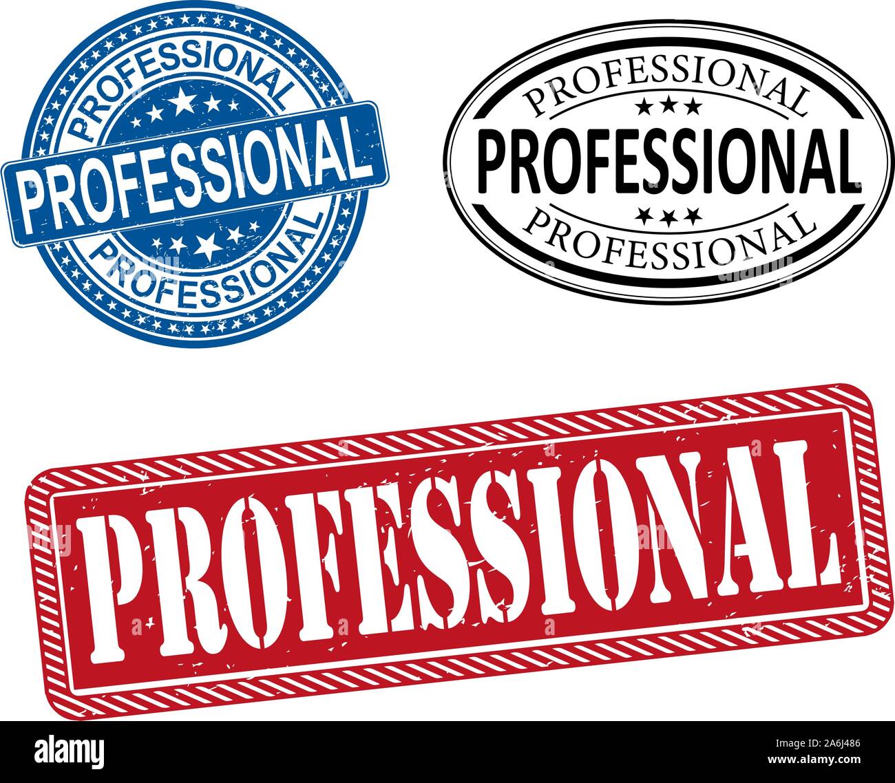 PROFESSIONAL grungy rubber stamp set on white background Stock Vector ...