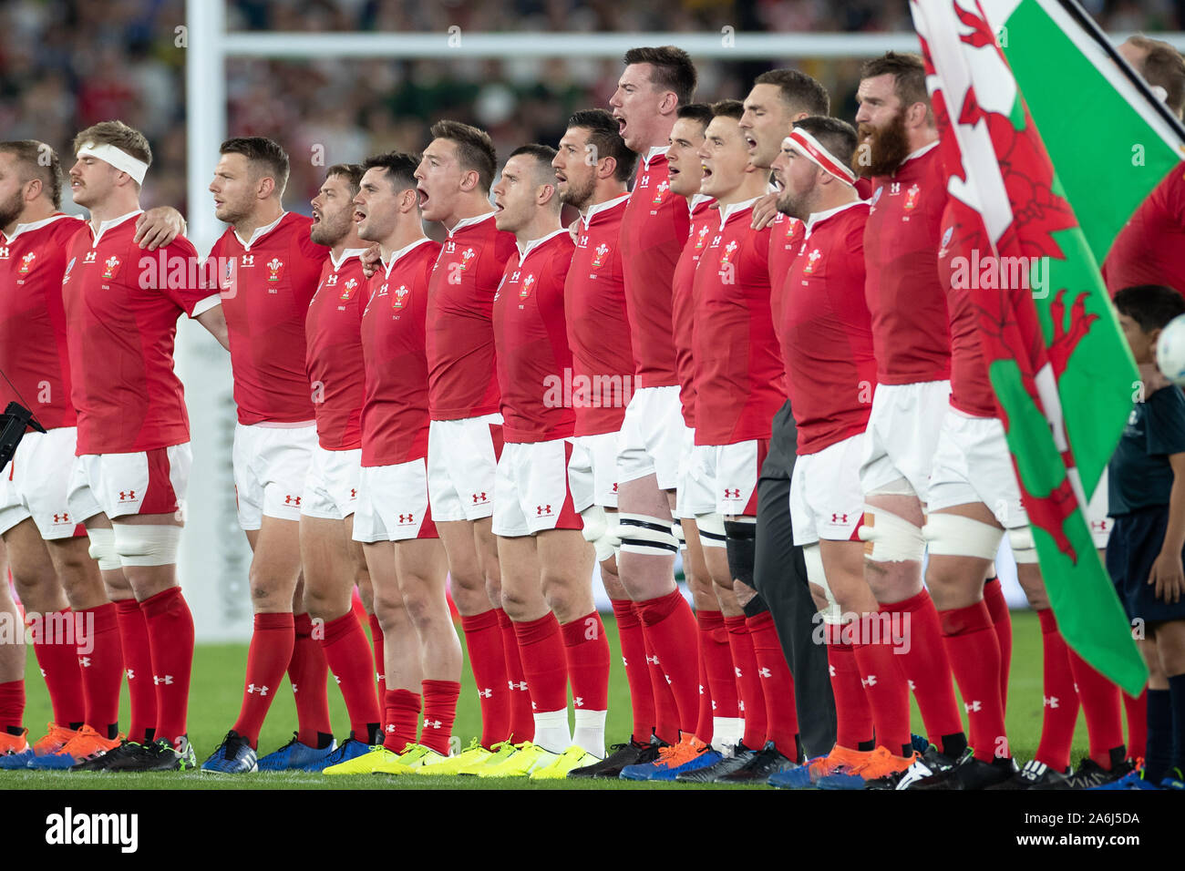 South africa ireland rugby hi-res stock photography and images - Alamy