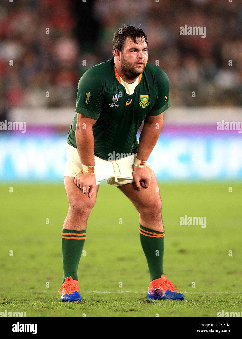 South Africa's Frans Malherbe during the 2019 Rugby World Cup Semi ...