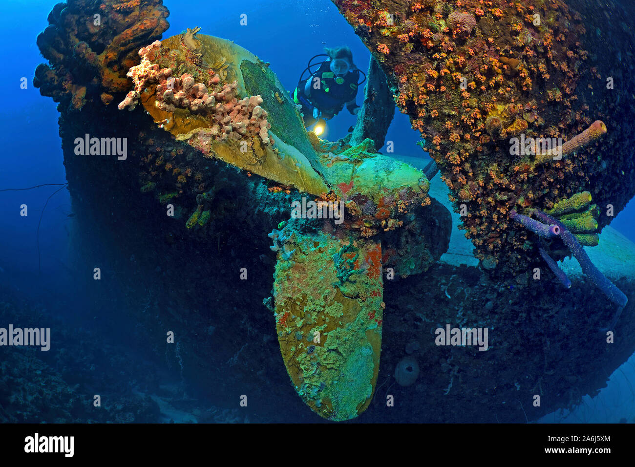 Diver ship wreck carribean hi-res stock photography and images - Alamy