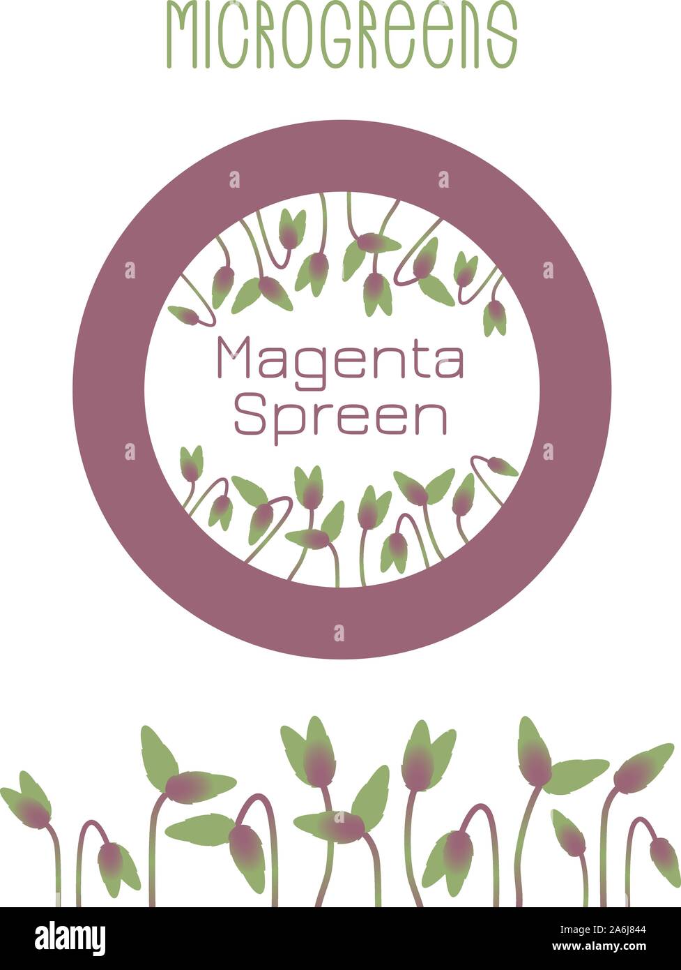 Microgreens Magenta Spreen. Seed packaging design, round element in the ...