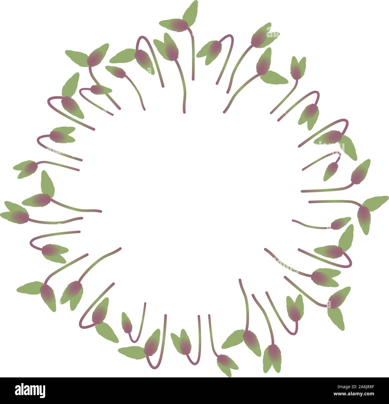 Microgreens Magenta Spreen. Arranged in a circle. Vitamin supplement ...