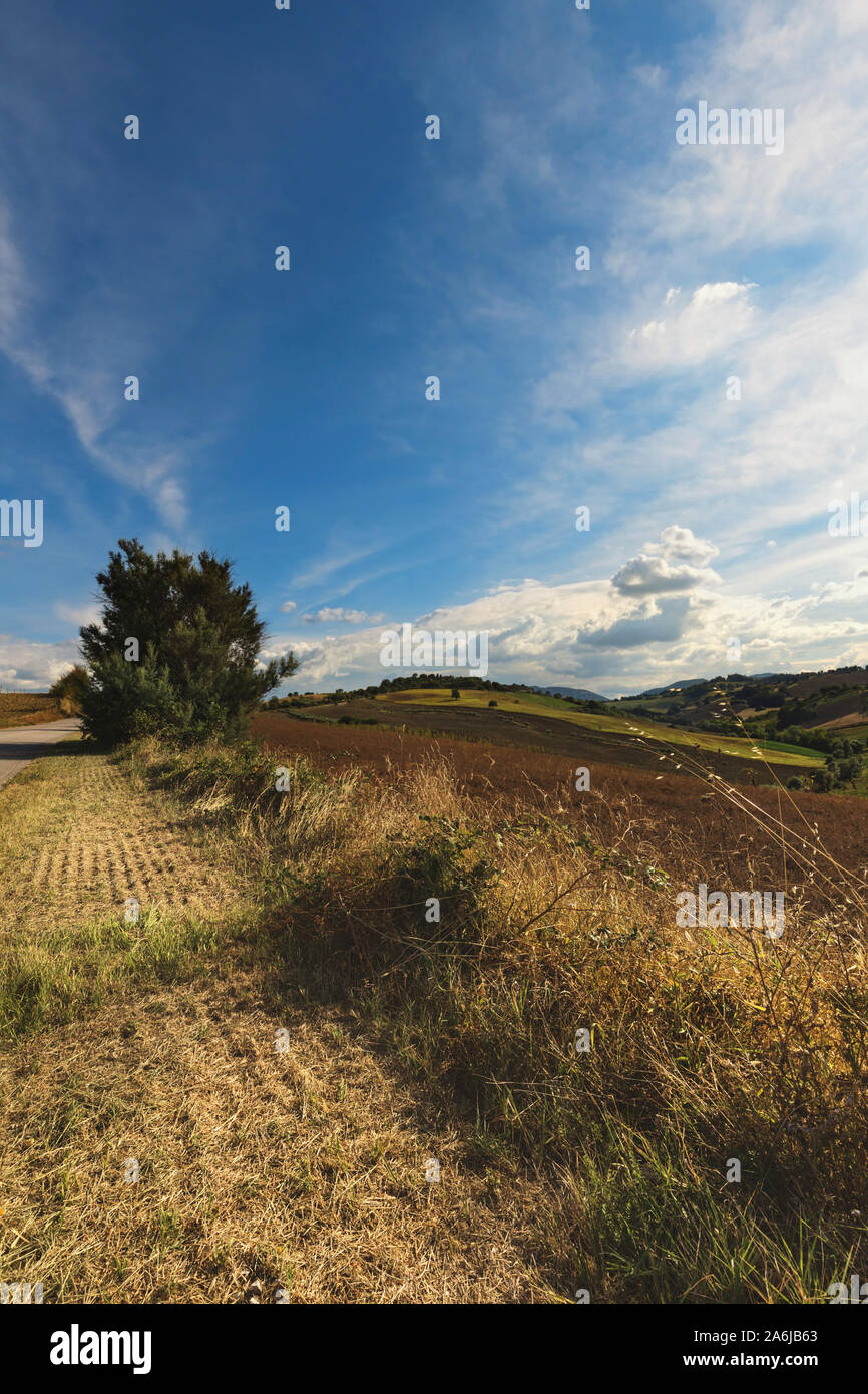 Beautiful view of summer countryside landscape, blue sky with clouds ...