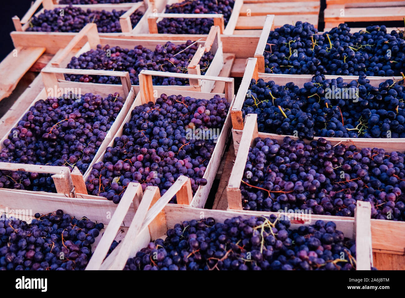 Bunch of artificial grapes hi-res stock photography and images - Alamy