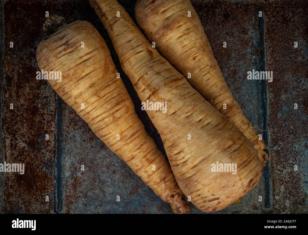 Three Parsnips on rusty metal tray ,top view. winter vegetable Stock ...