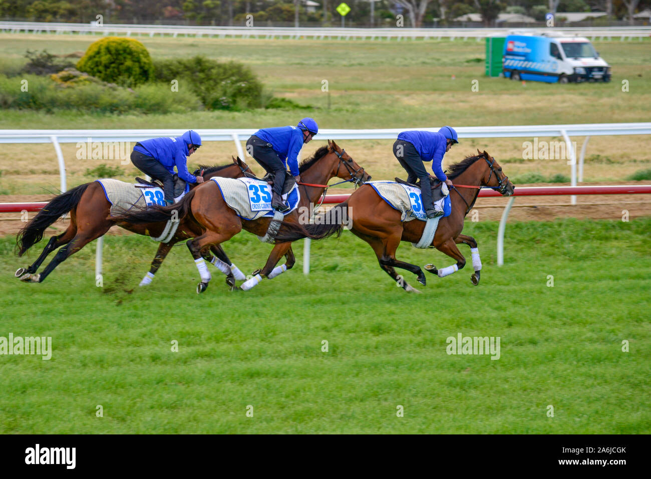 Melbourne Cup Winner Cross Counter, Spring Racing Carnival ...
