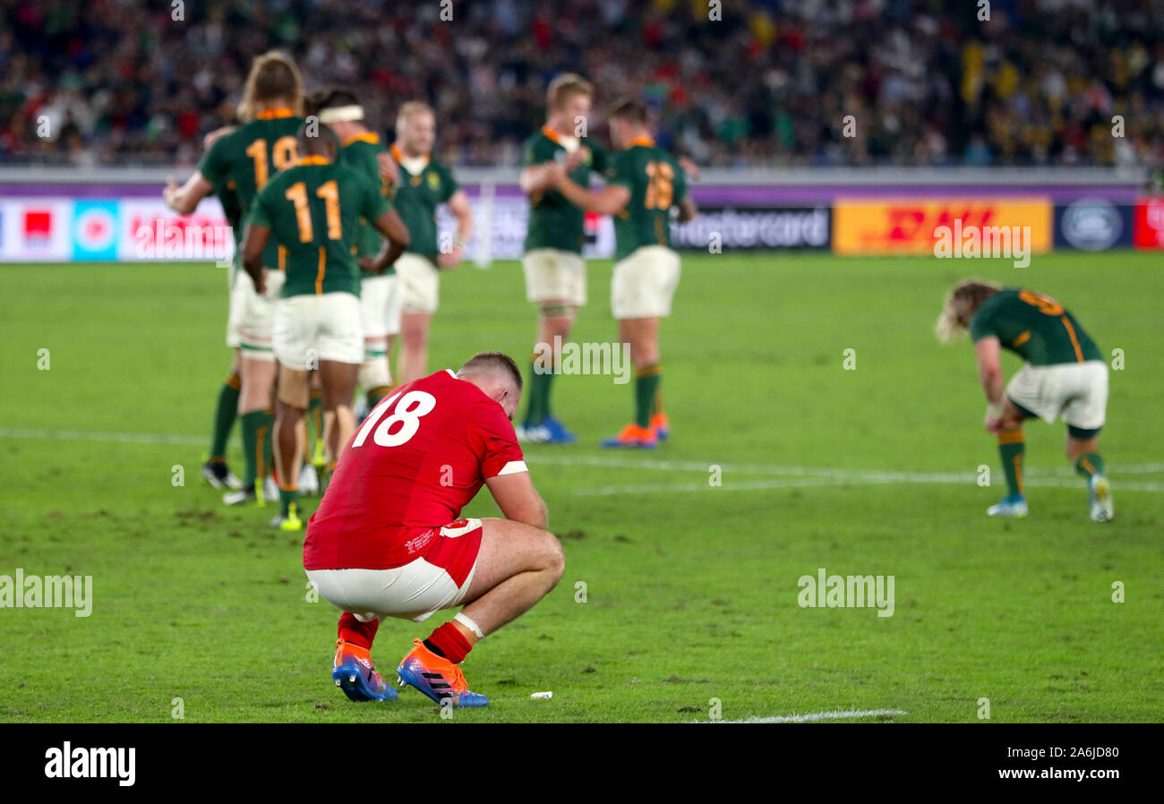Wales' Dillon Lewis dejected after the final whistle of the 2019 Rugby ...