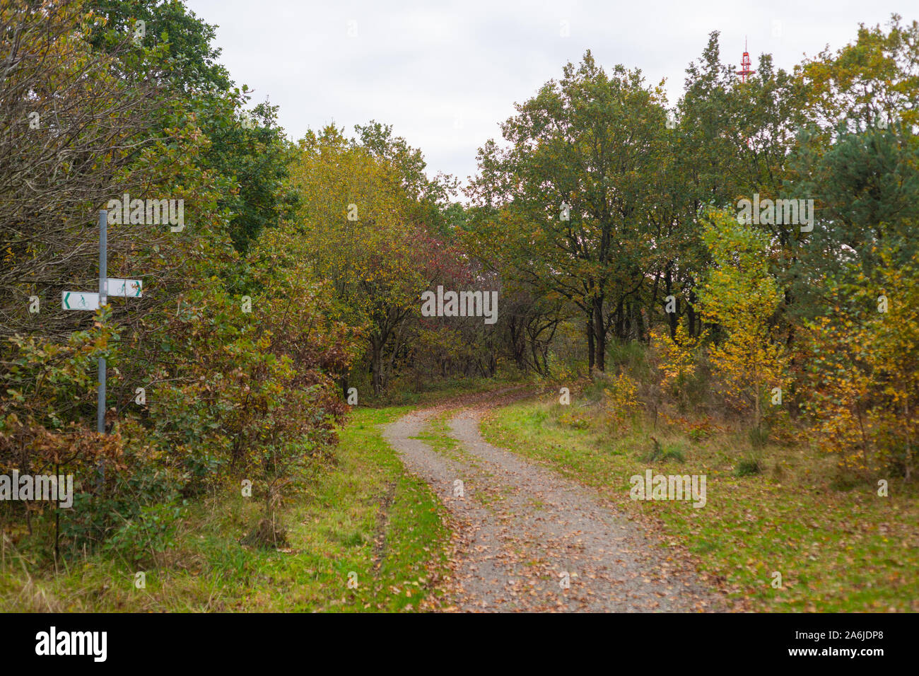 Autumn walk through a nature reserve with many shades of brown Stock ...