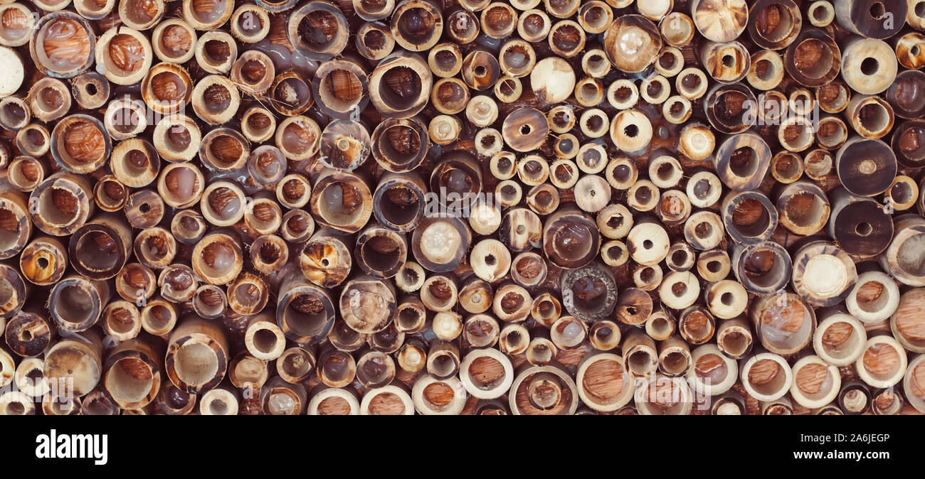 Bamboo wooden section cutting and design for backdrop background ...