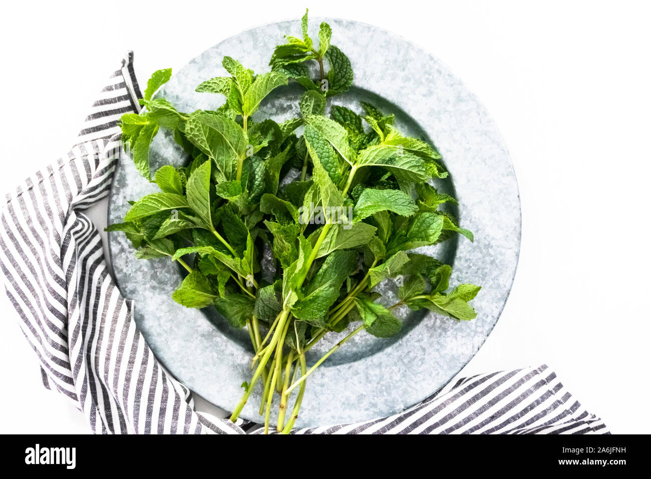 Flat lay. Fresh mint from the organic garden on a white background ...