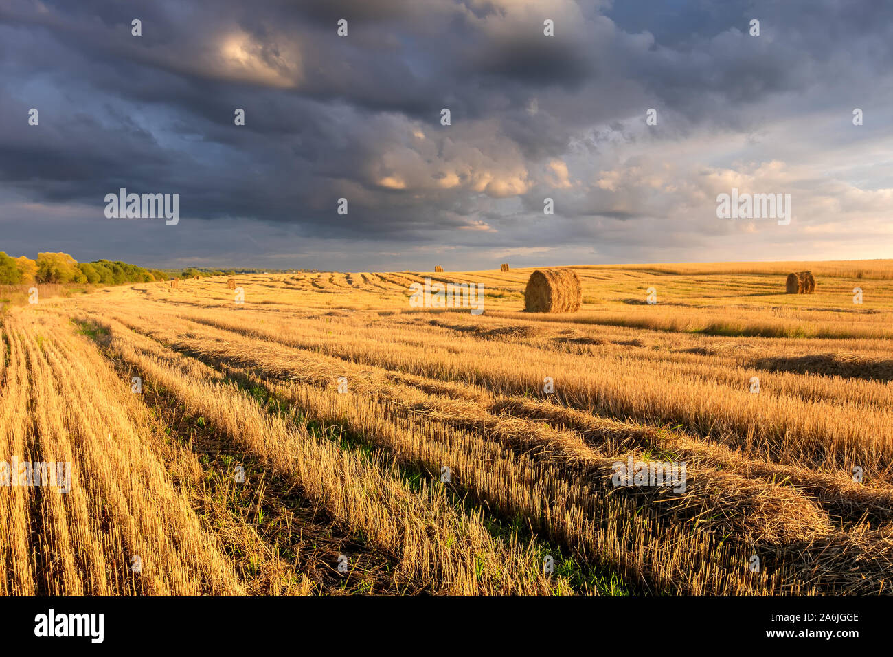 Haystacks on the field in Autumn season. Rural landscape with blue sky ...