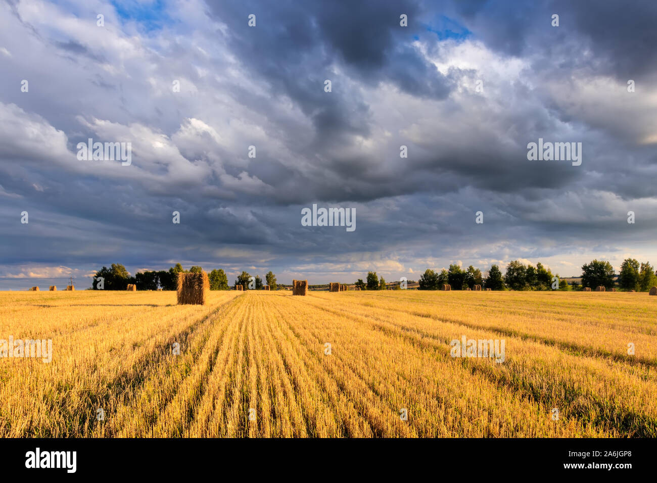 Haystacks on the field in Autumn season. Rural landscape with cloudy ...