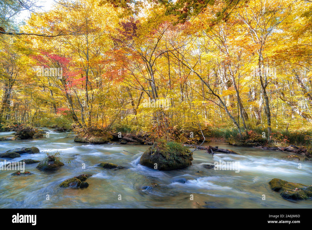 See the beautiful waterfall in Oirase gorge in autumn, Tohoku, Aomori Stock Photo - Alamy