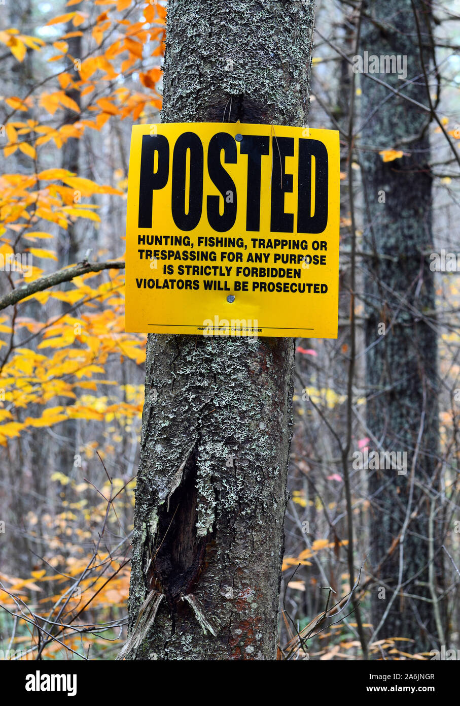 No fishing sign on tree hi-res stock photography and images - Alamy