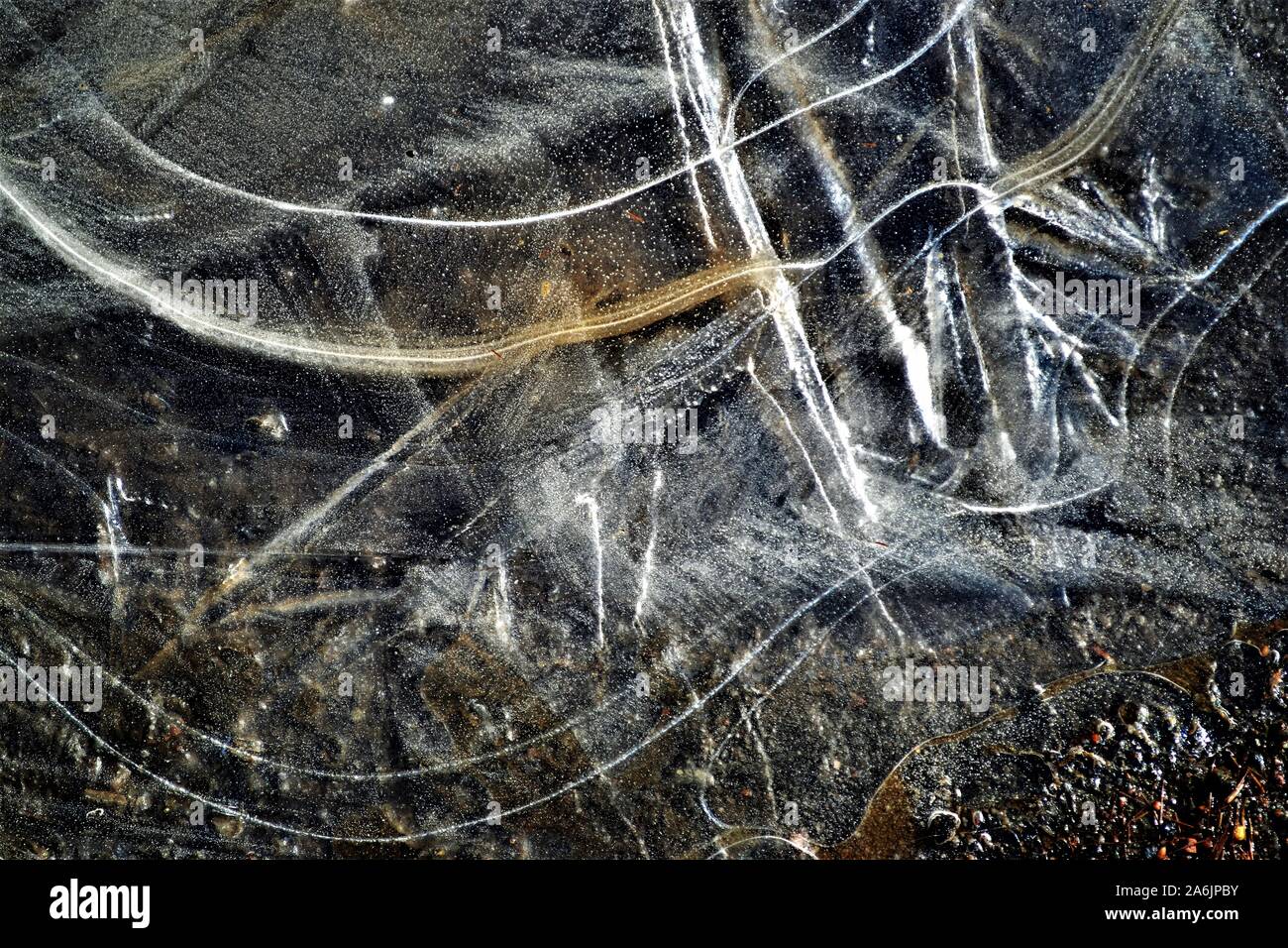 Newly frozen puddle forming abstract design Stock Photo - Alamy