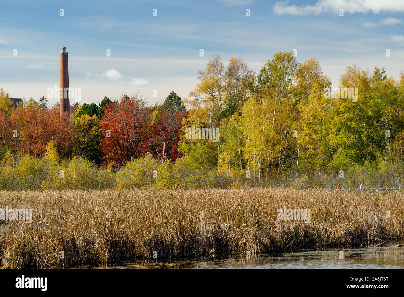 Swamp bog wetland boardwalk hi-res stock photography and images - Alamy