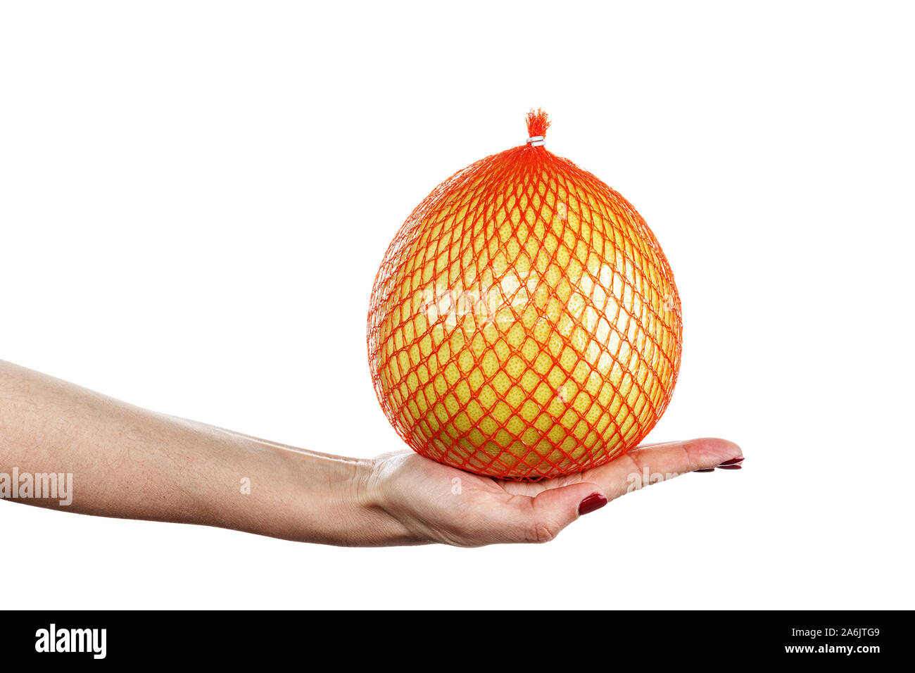 whole citrus pomelo in a grid in a female hand on a white background ...