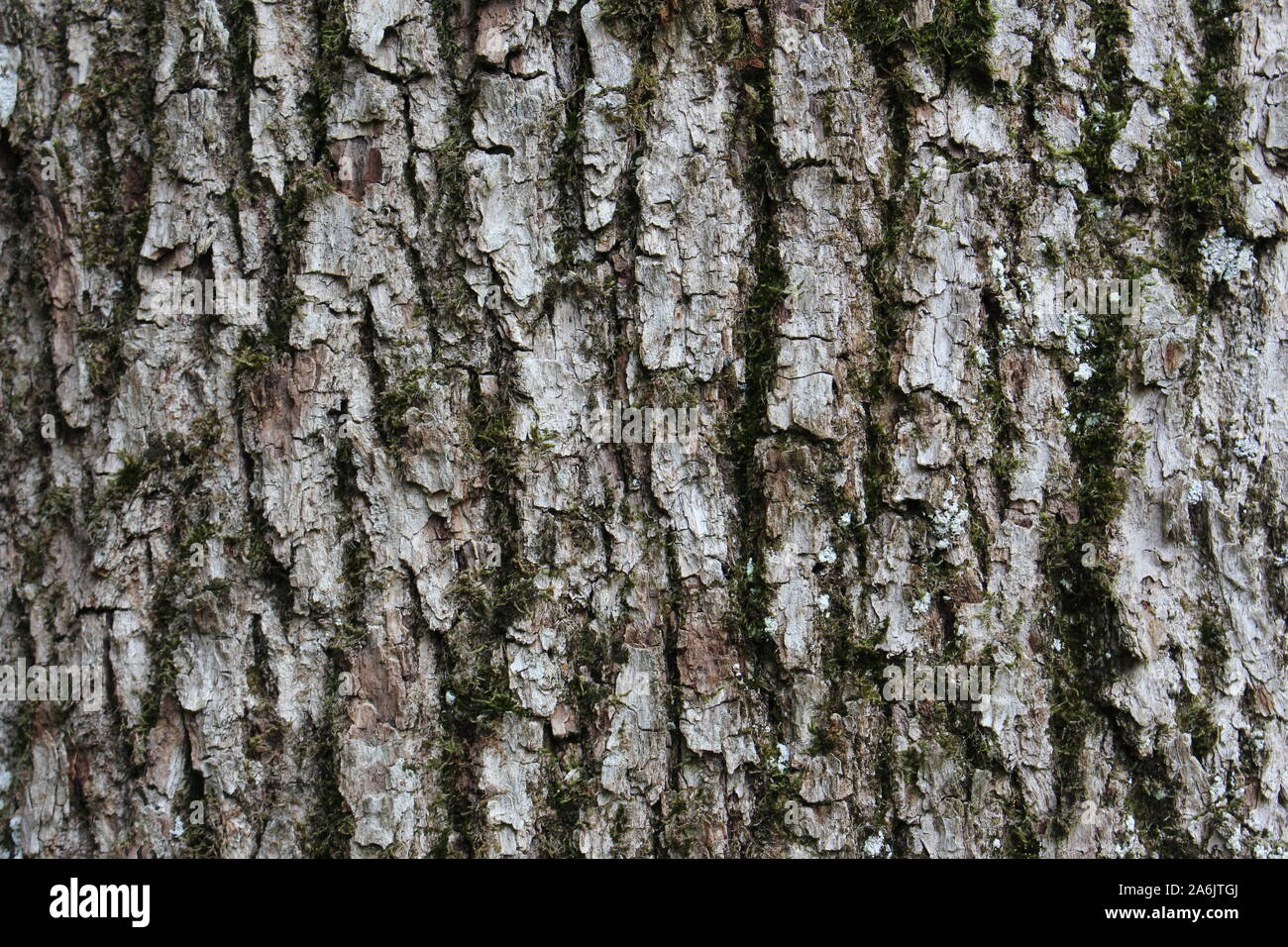 Rugged texture hi-res stock photography and images - Alamy