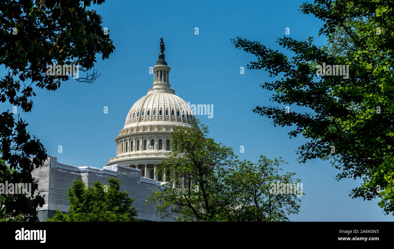 Dome of Capital building framed by trees in Washington DC Stock Photo ...
