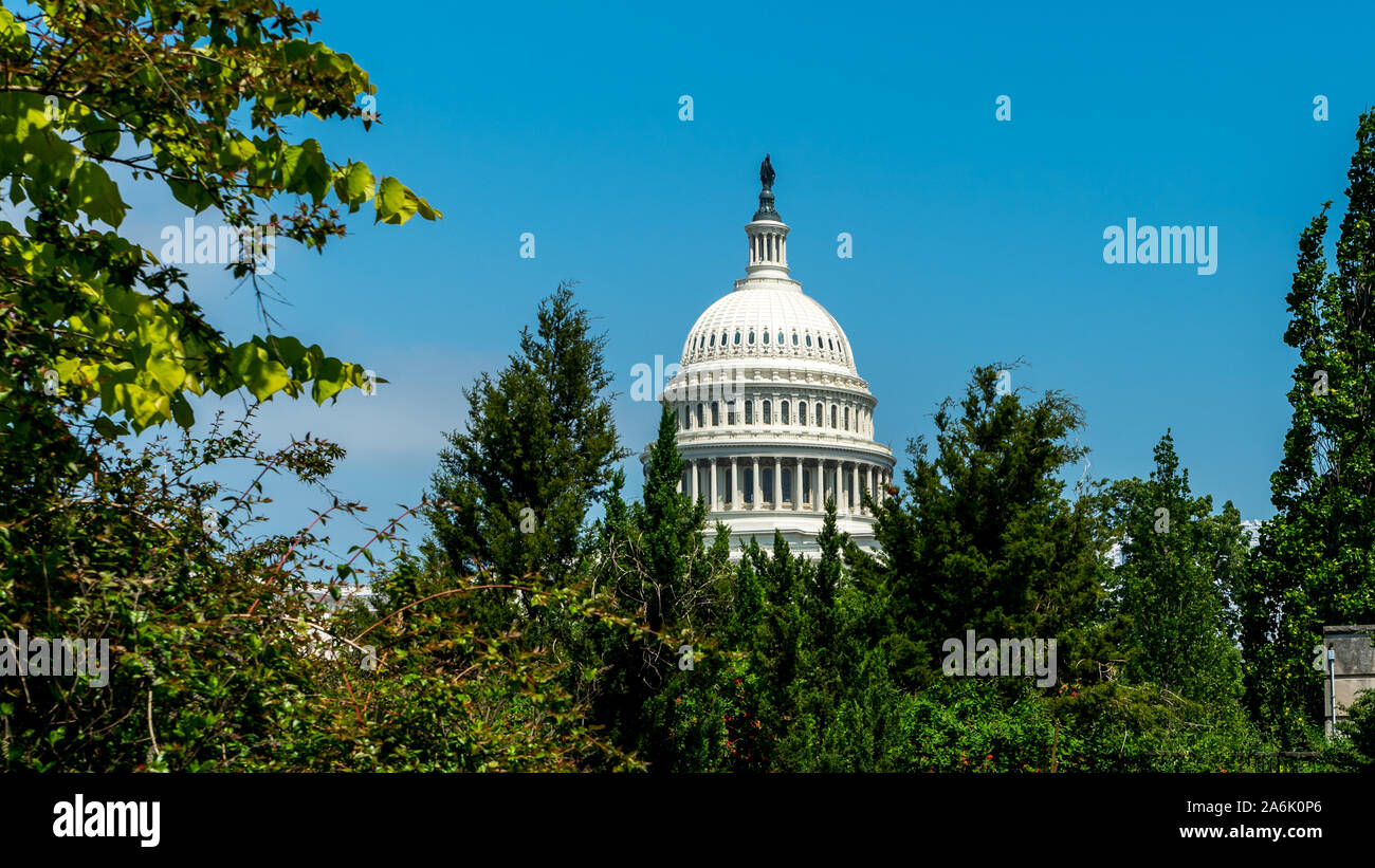 Dome of Capital building framed by trees in Washington DC Stock Photo ...