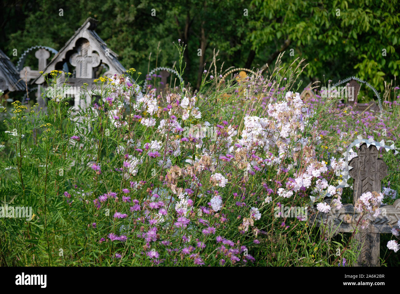 About overgrown weeds hi-res stock photography and images - Alamy