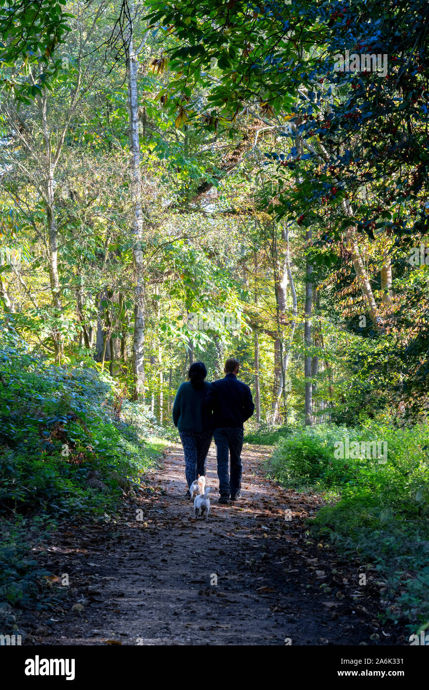 Woman walking dog in woods hi-res stock photography and images - Alamy