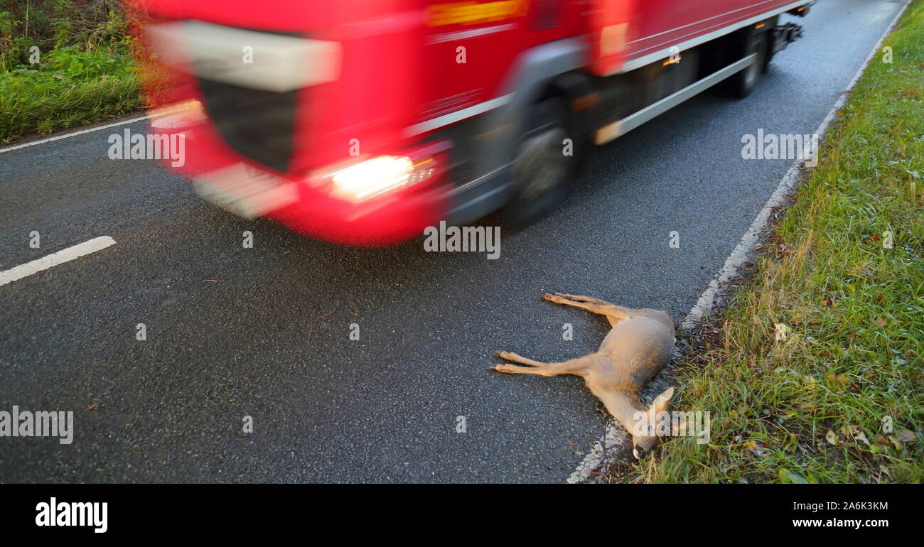 Road accident dead hi-res stock photography and images - Alamy