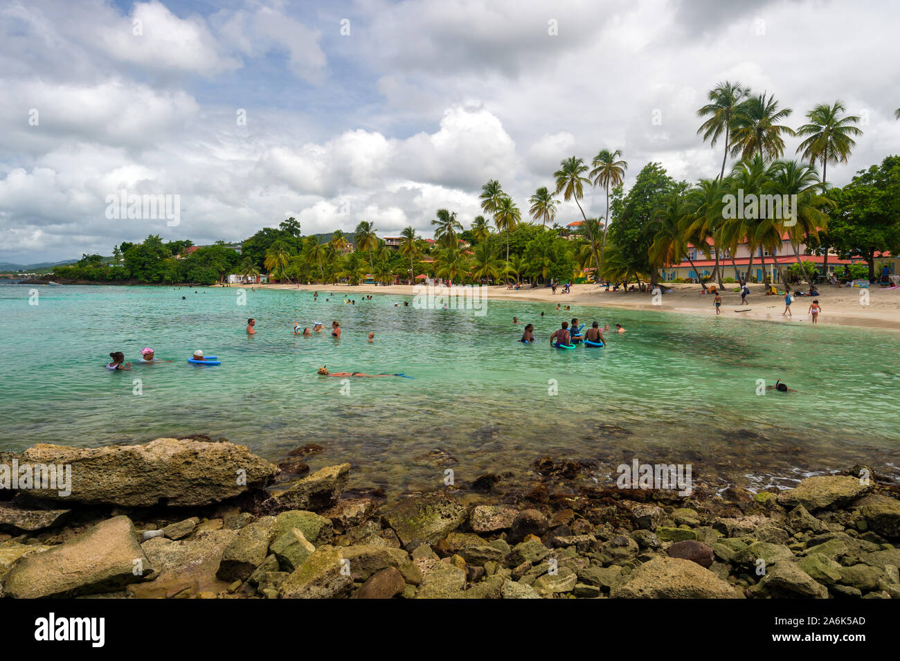 Figuier hi-res stock photography and images - Alamy