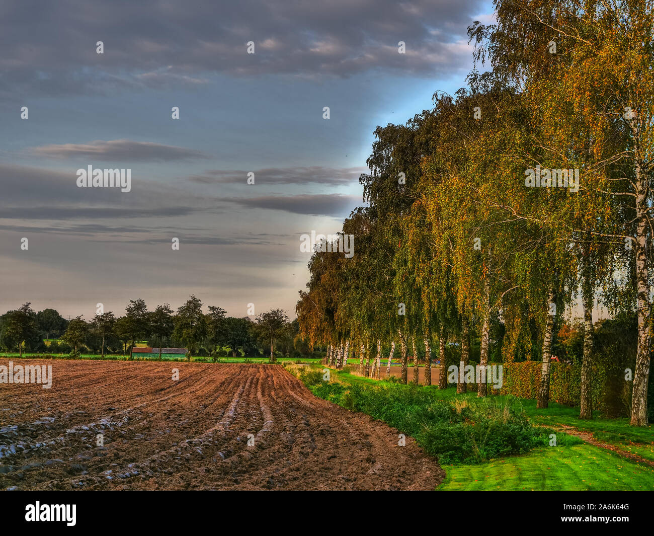 autumn time in germany Stock Photo - Alamy