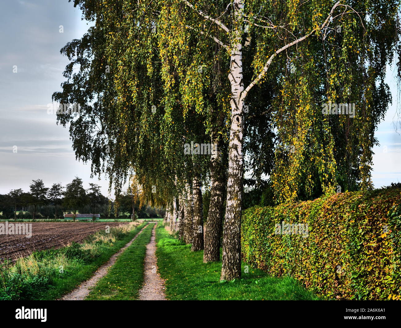 autumn in germany Stock Photo - Alamy