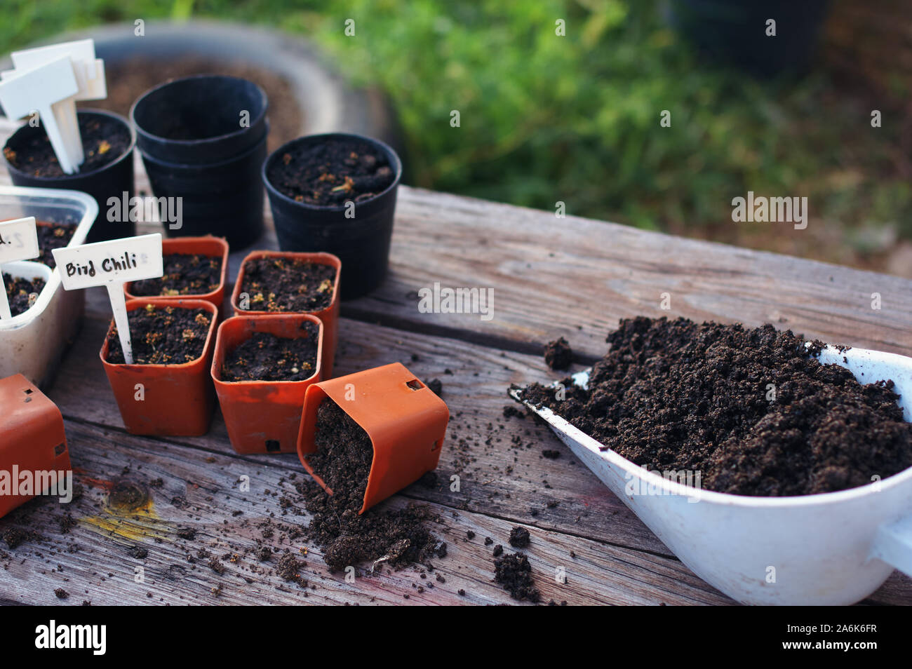 The little pot hi-res stock photography and images - Alamy
