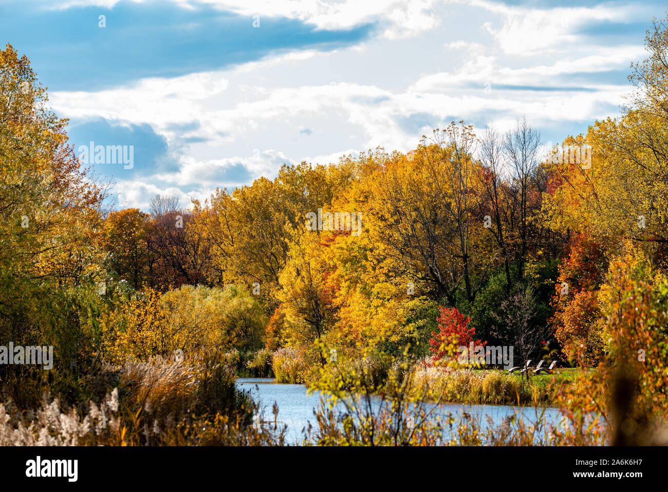 Reeds rush hi-res stock photography and images - Alamy