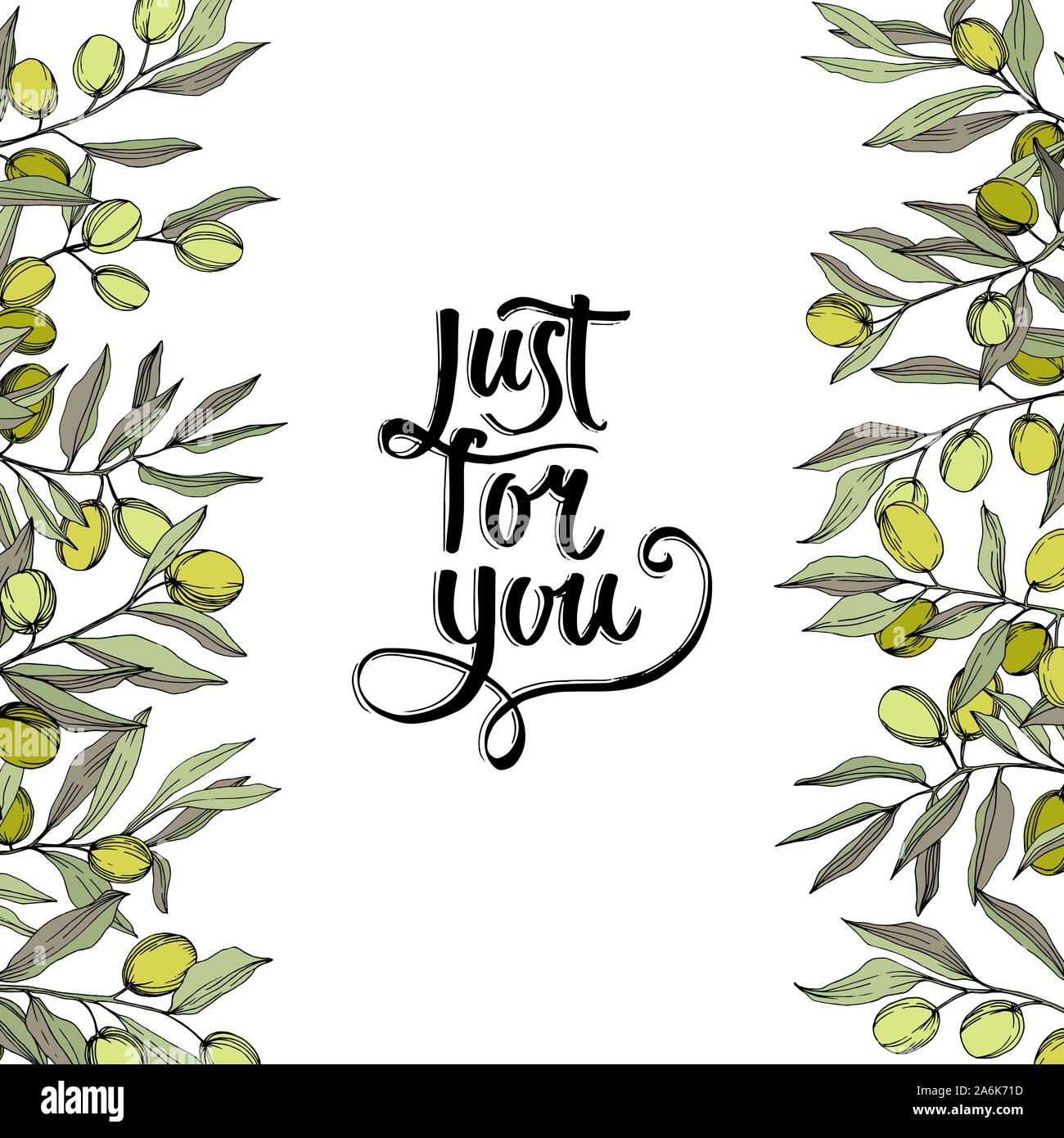 Olive tree in a vector style isolated. Green engraved ink art Stock ...