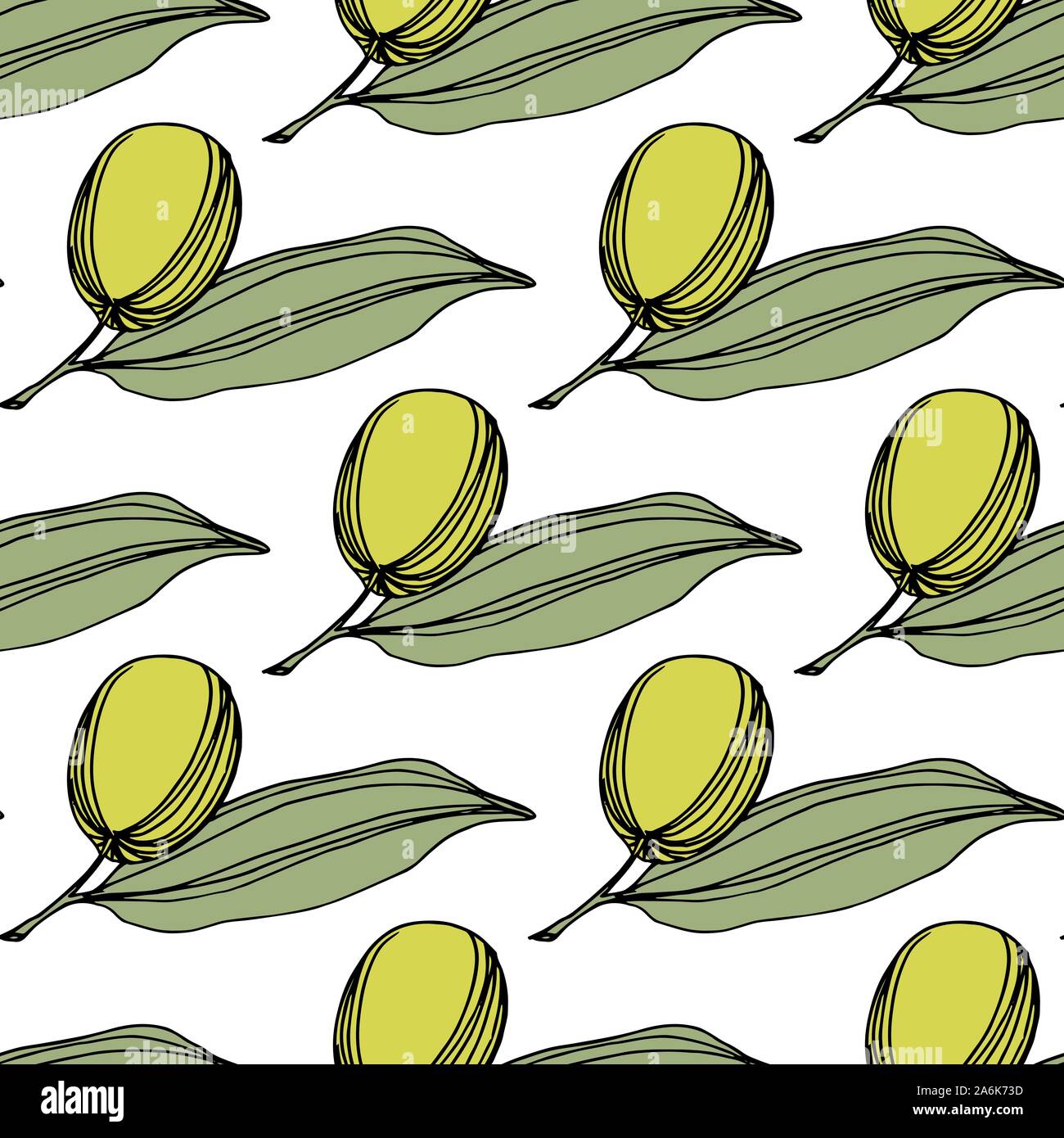 Olive tree in a vector style isolated. Green engraved ink art Stock ...