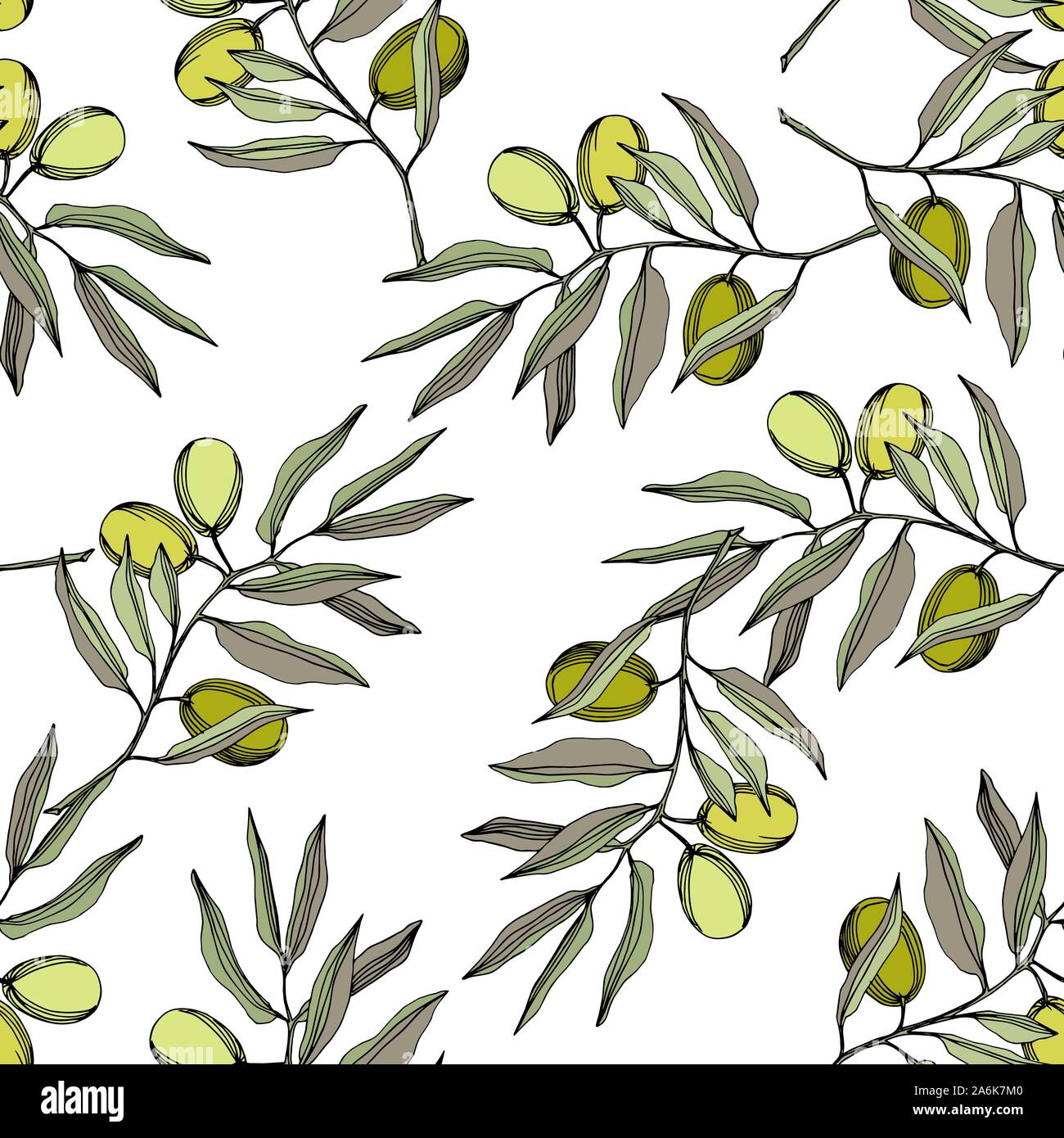 Olive tree in a vector style isolated. Green engraved ink art Stock ...