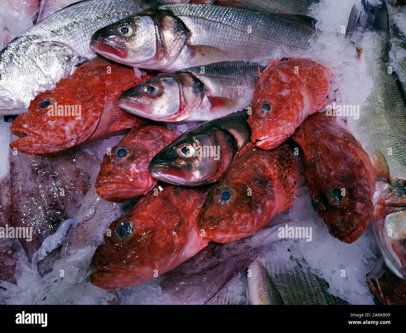 Italy, Magenta, fish market Stock Photo - Alamy